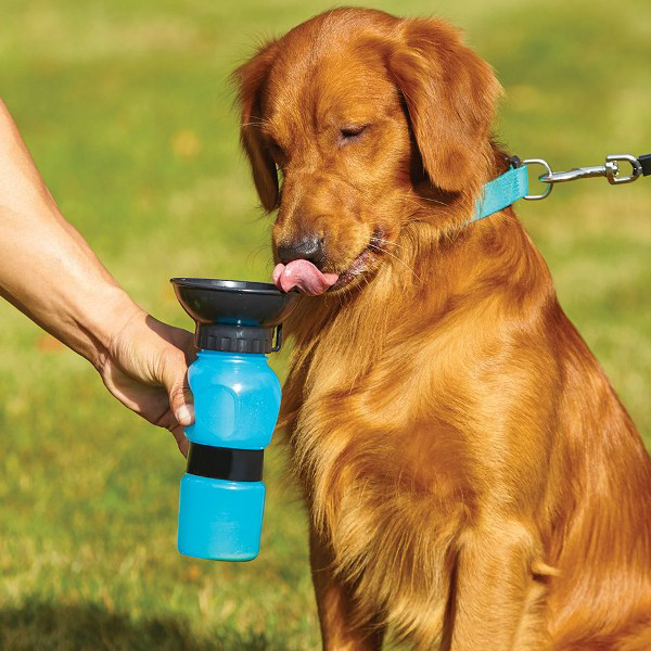 Φορητό Μπουκάλι Νερού με Μπολ για Σκύλους 500ml - ProfitStore